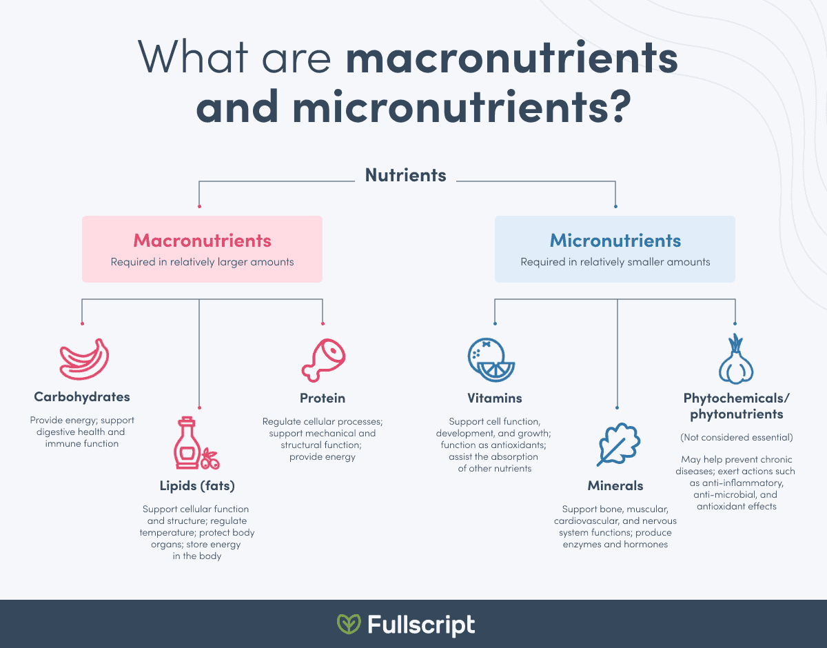 Macronutrients Definition Nutrition Nutrienkarbo